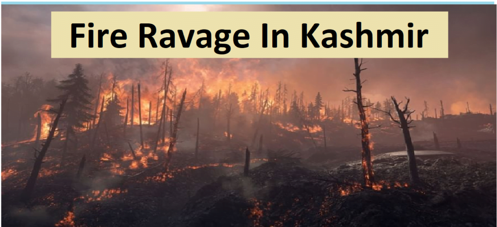 Forest fires ravage Kashmir’s green canopy - JKUpdate.in